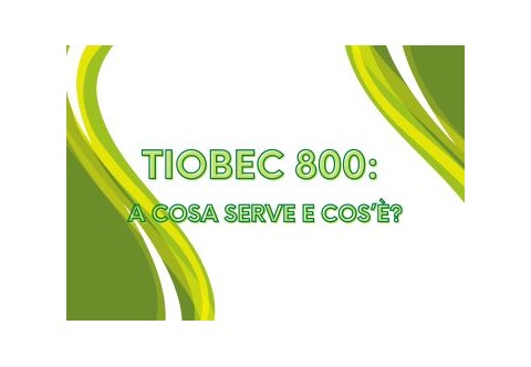 Tiobec 800: A Cosa Serve e Quando Assumerlo - TuttoFarma