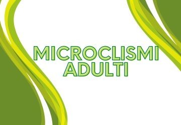 Quali sono i migliori microclismi per adulti? - TuttoFarma